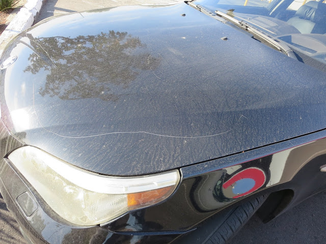 Auto Body-Collision Repair-Car Paint in Fremont-Hayward-Union City-San ...