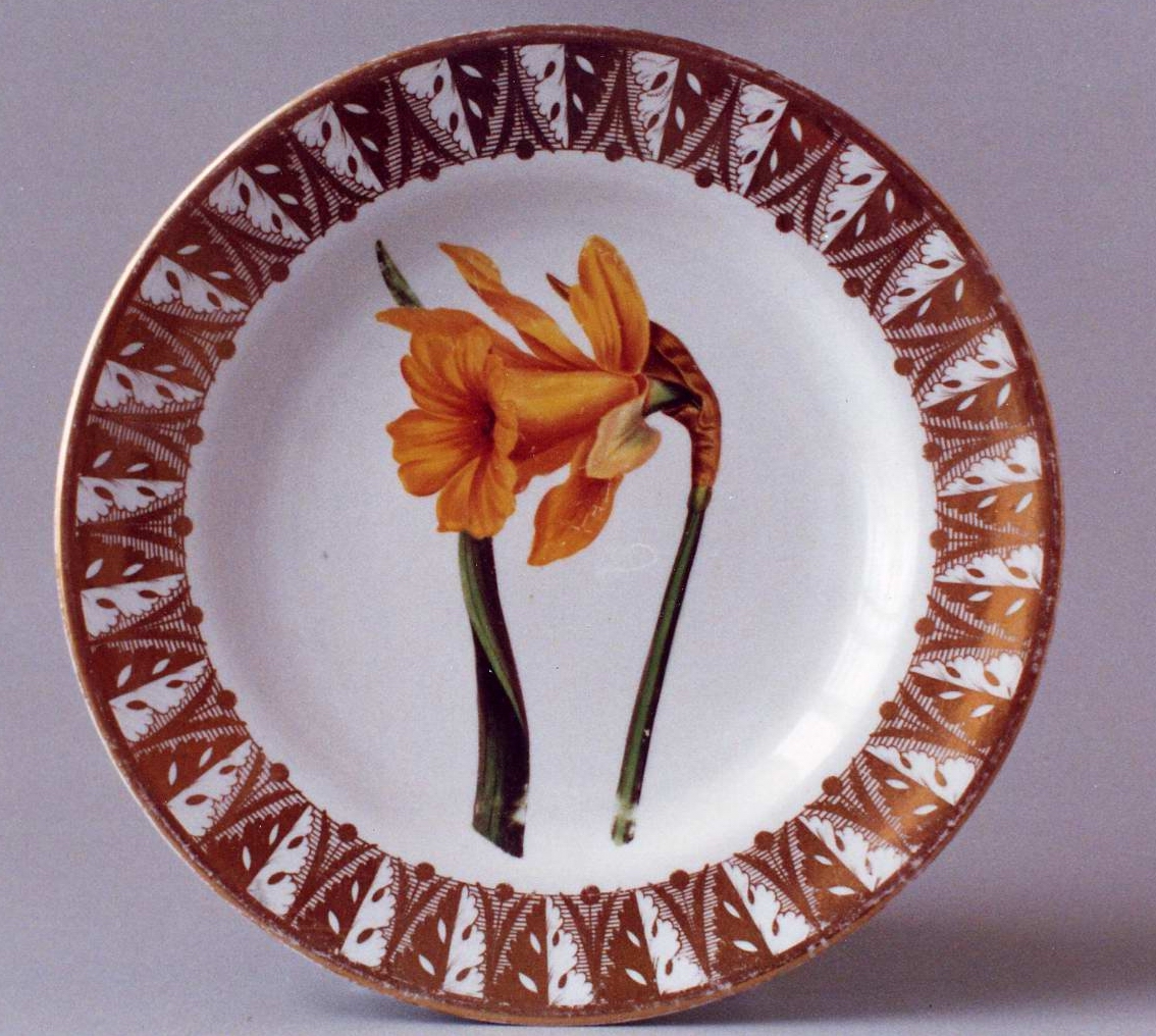 Spode History: Spode's pattern 2789