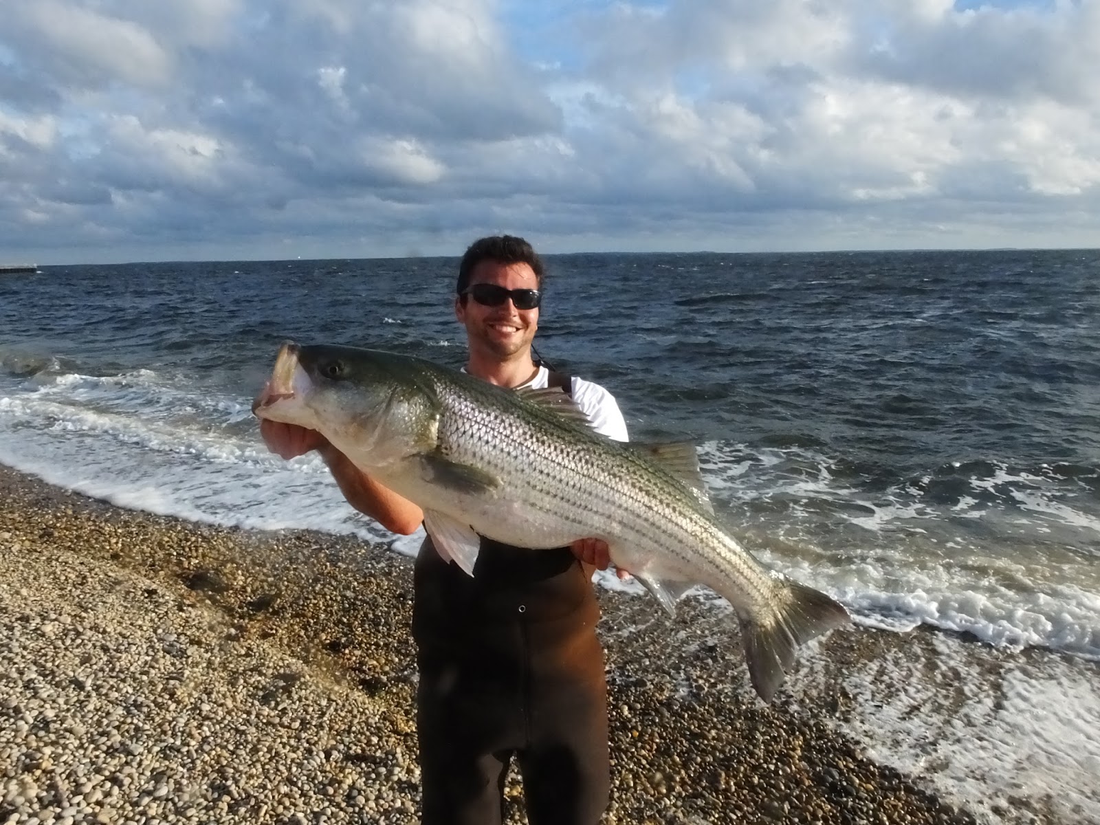 Connecticut Fly Angler: "Weeding Out" Big Striped Bass