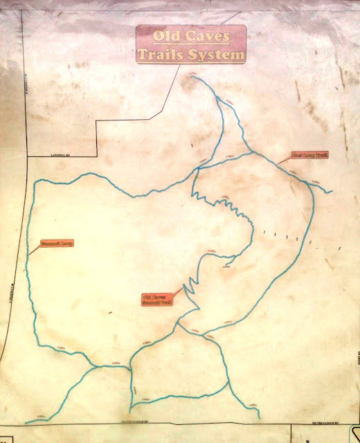 What's Up with Ellis: Picture Canyon and Old Caves Crater