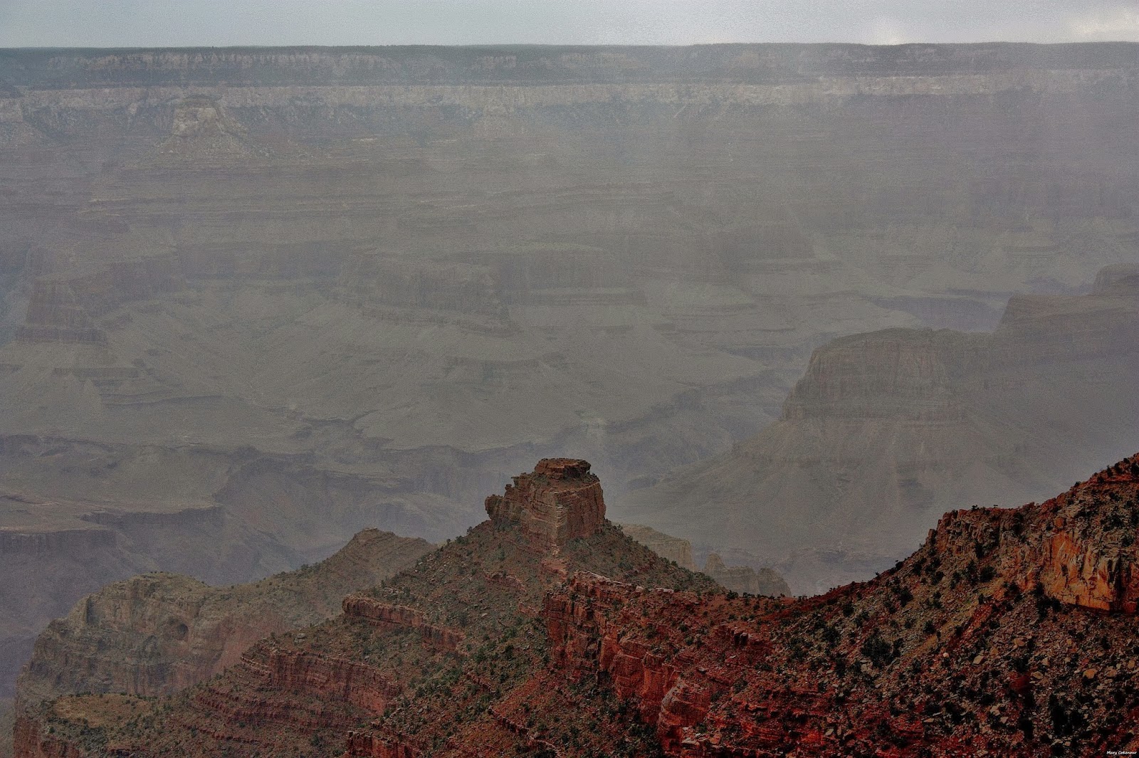 The Southwest Through Wide Brown Eyes: Finally! The Grand Canyon's ...