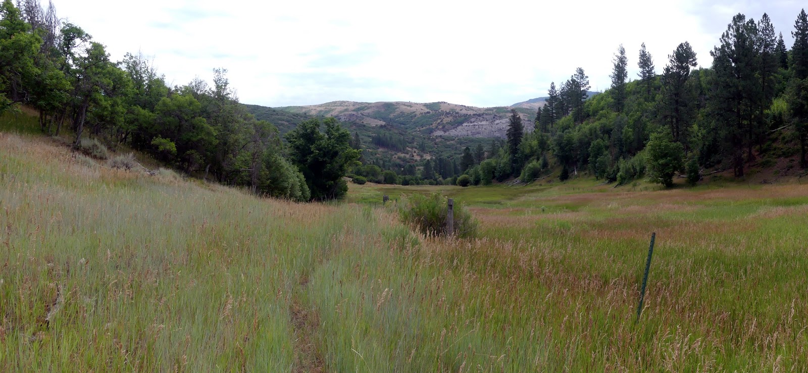 Land Cruising Adventure: Nebo Loop | Ponderosa Campground | Nephi | Utah