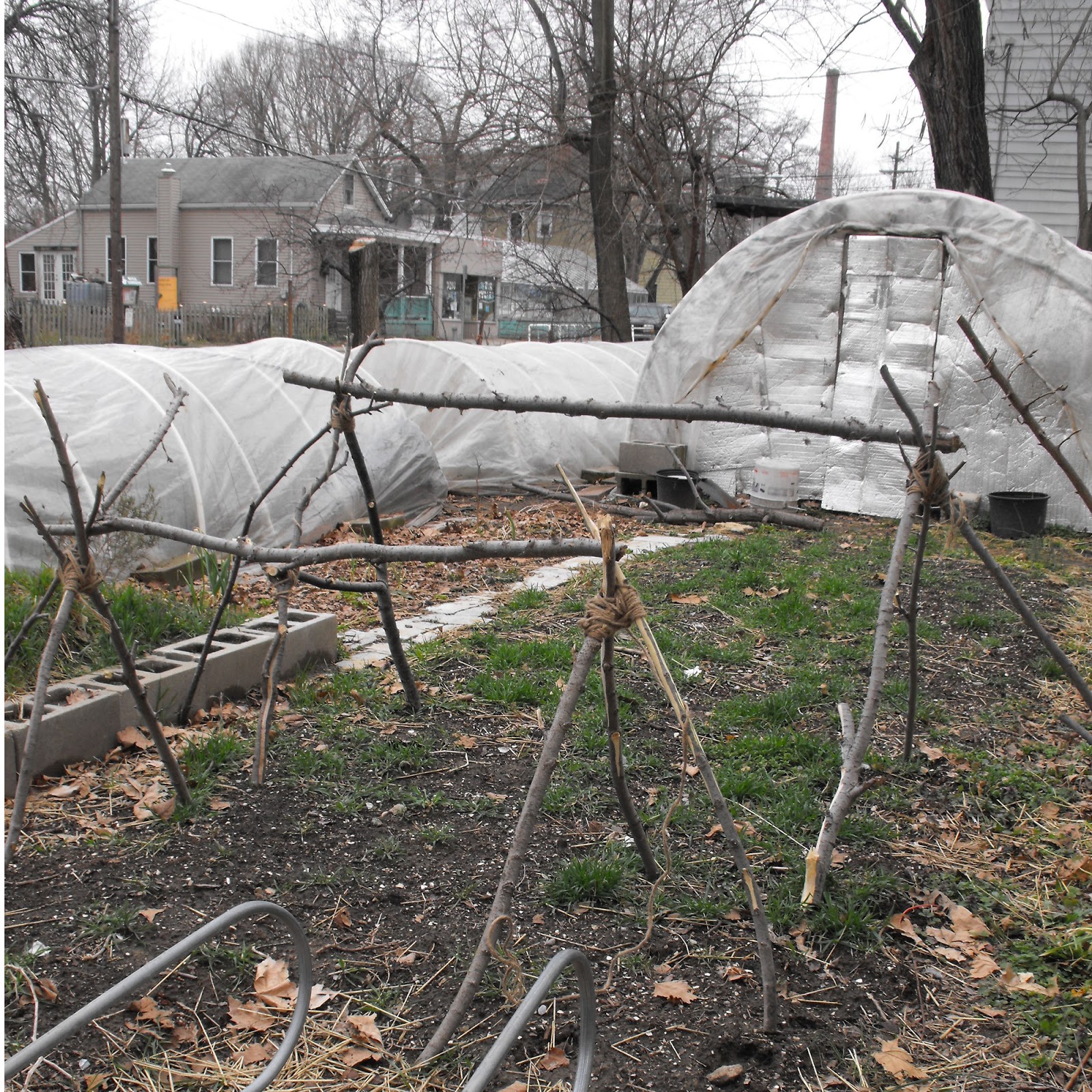 RAYGUNOMICS: DIY Natural A-Frame Trellis Part 1