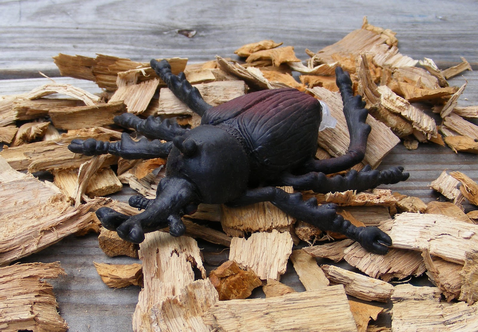 Geocaching With Kelin: Ugly Bug Micro Geocaching Container