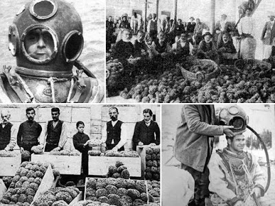 the Greek Sponge Divers ~ Cambridge Greek Corner
