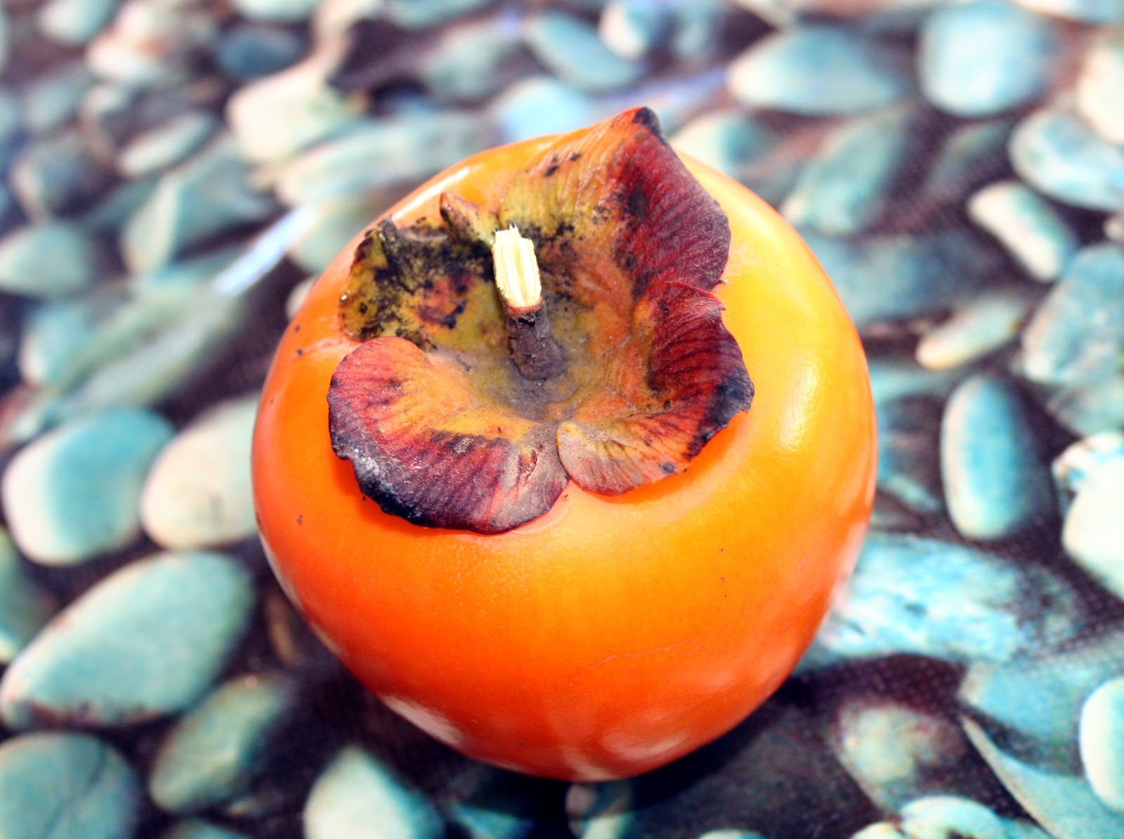 El Rincón de Tita Leti: Kaki - Persimons listos para comer...