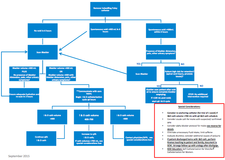 UK Trauma Protocol Manual: Post-Foley Removal Guideline