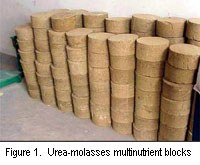 Urea Molasses Multinutrient Block (UMMB) - Sekilas Peternakan