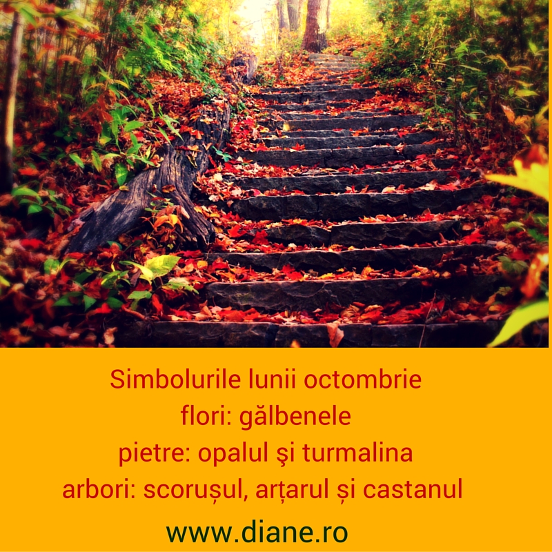 Simbolurile lunii octombrie - diane.ro