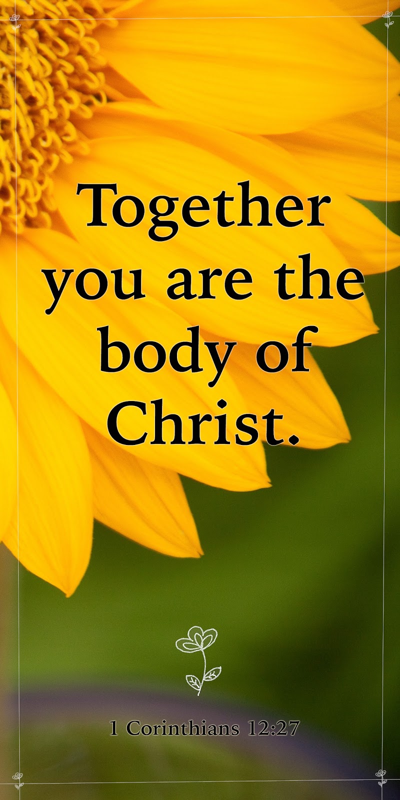 the gratitude project: 1 Corinthians 10-12