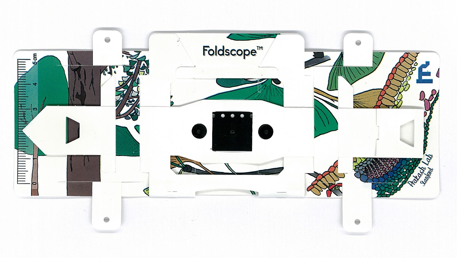 Sustainable Mycology: Foldscope kickstarter program