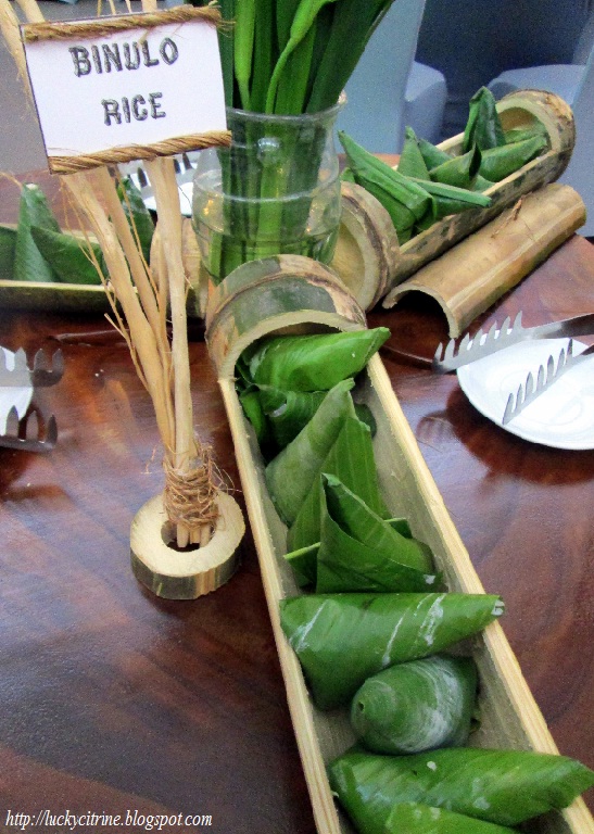 Lucky Citrine: Marquee Mall's Big Bite! 2: The Northern Food Festival