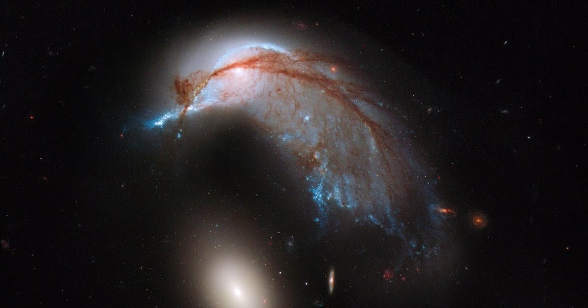 Arp 142, un encuentro cercano.