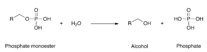 Glossomics: November 2018