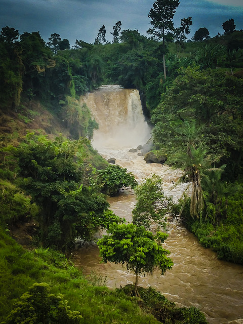 Patrimonio de la Humanidad: Parque Nacional Virunga. República ...