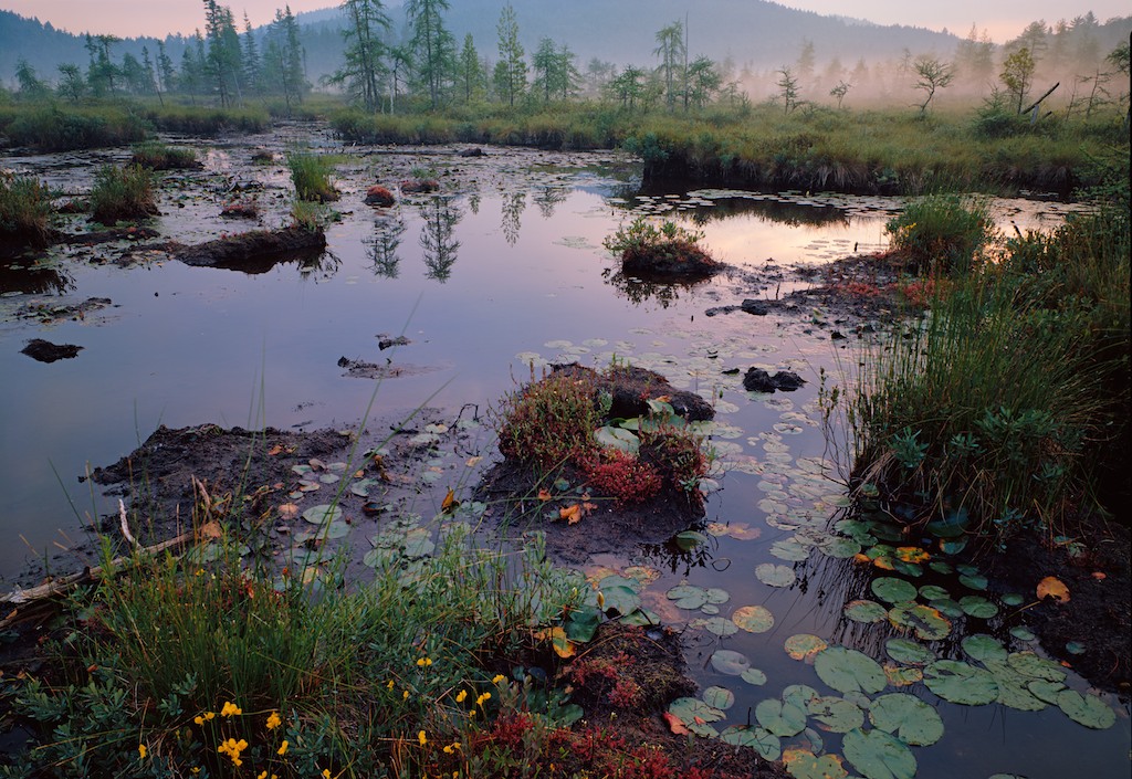 View: A View of Nathan Farb