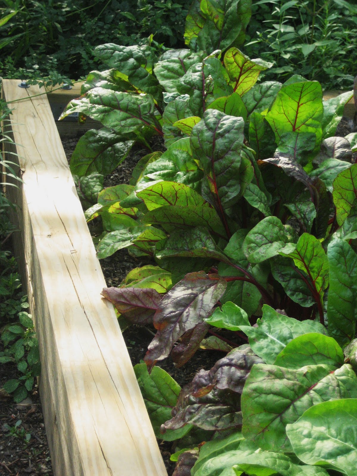 Rebecca Vella Design