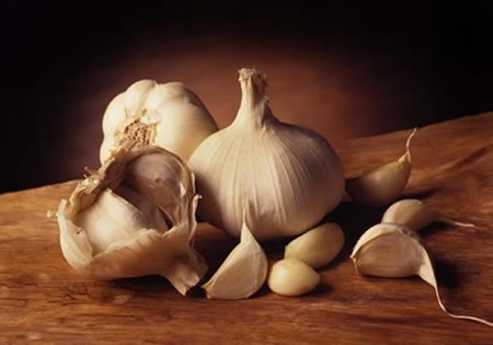 El ajo ~ ~* Jardin Botanico