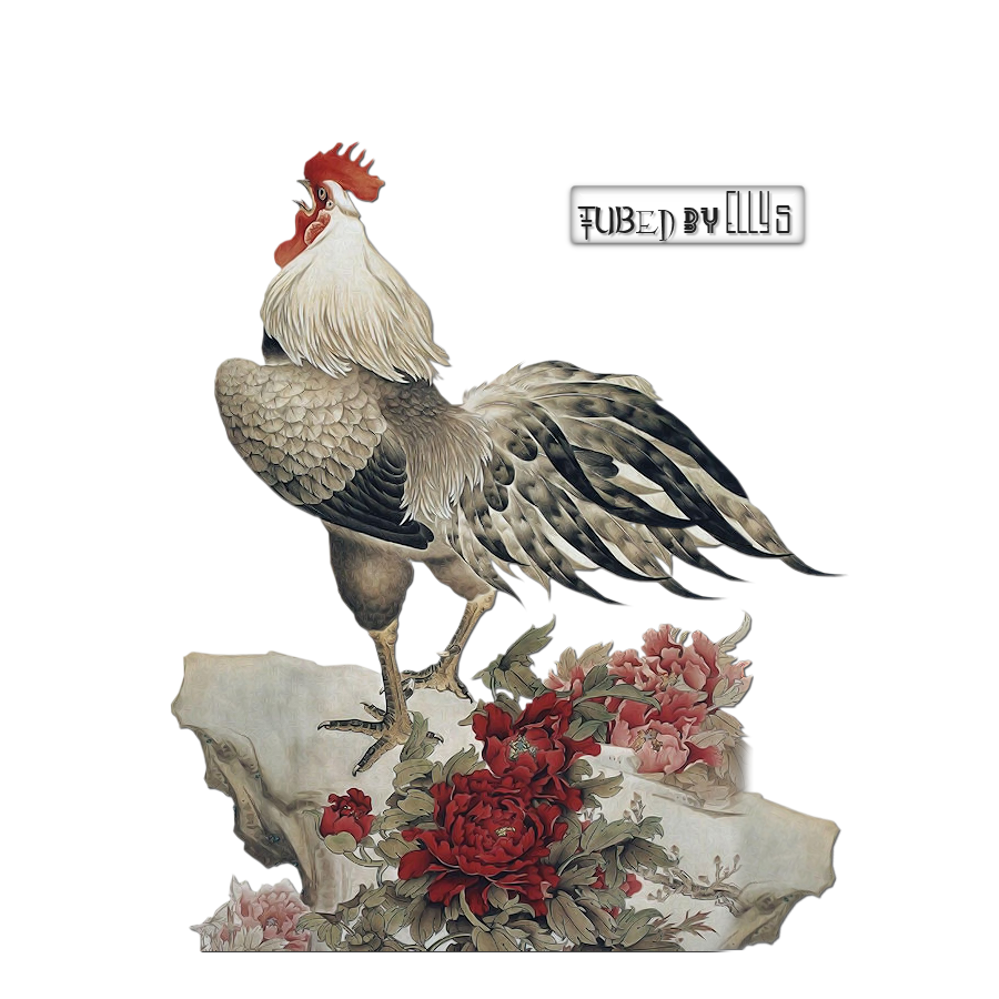 Alles voor en over PSP : TUBES VOGELS