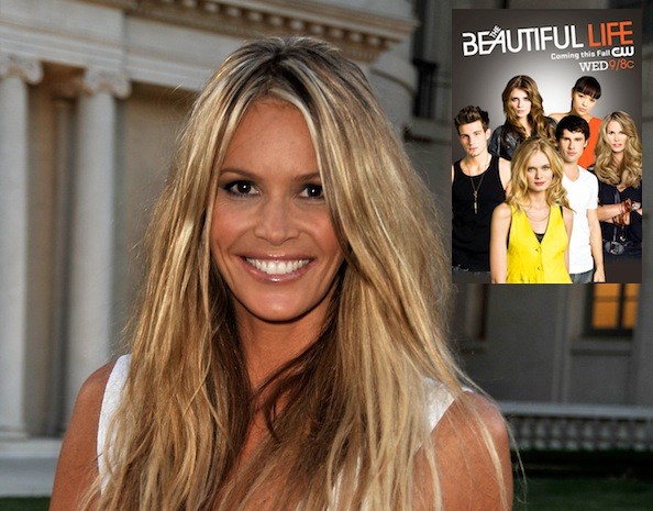 Best Celeberties Wallpapers: The Most Successful Models Turned ...