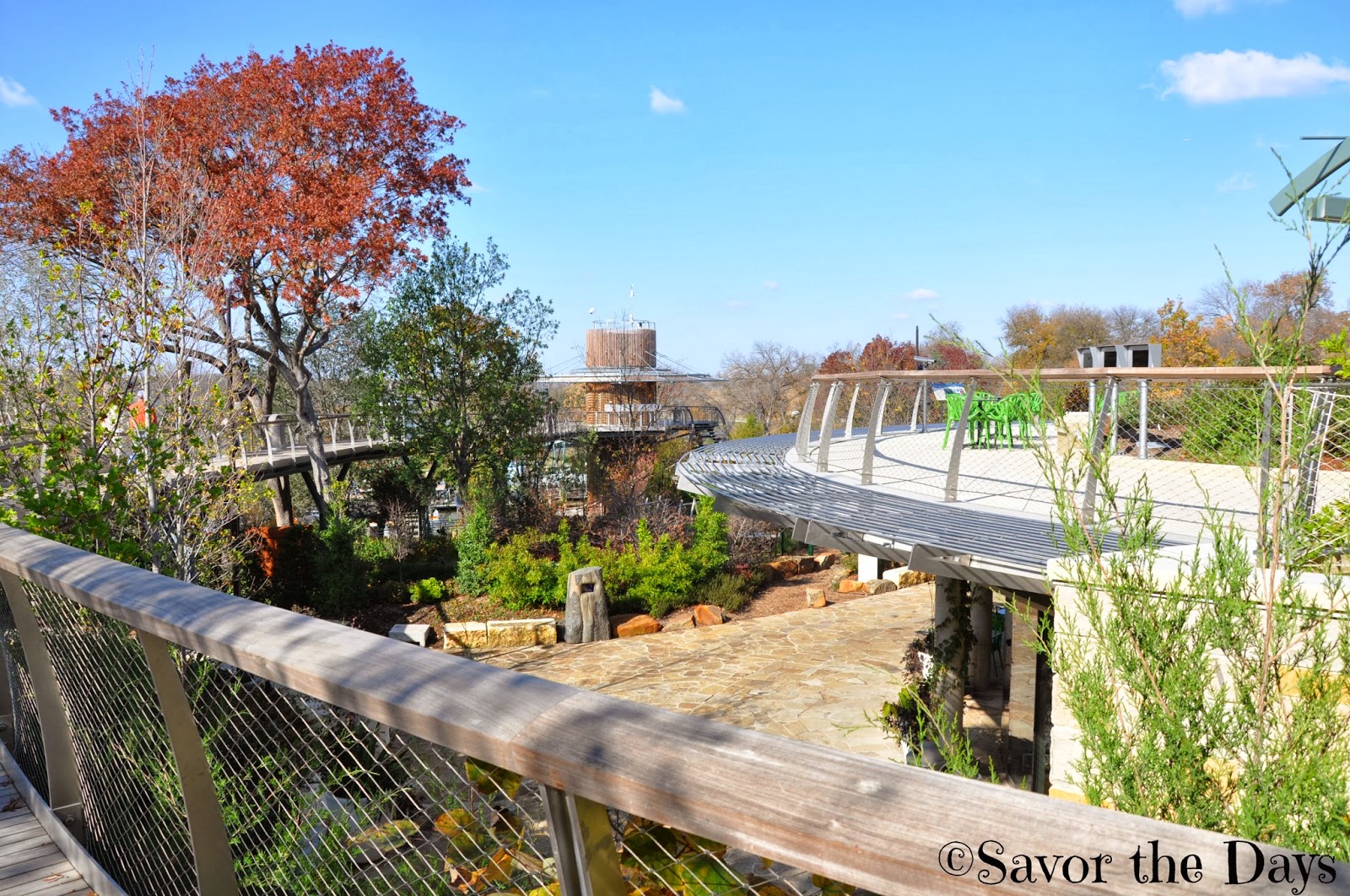 Savor The Days: Rory Meyers Children's Adventure Garden at the Dallas ...
