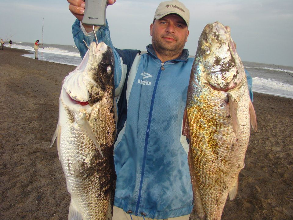 Ilusión de Pescar: Muy buena pesca de corvina rubia en la Bahía San Blas