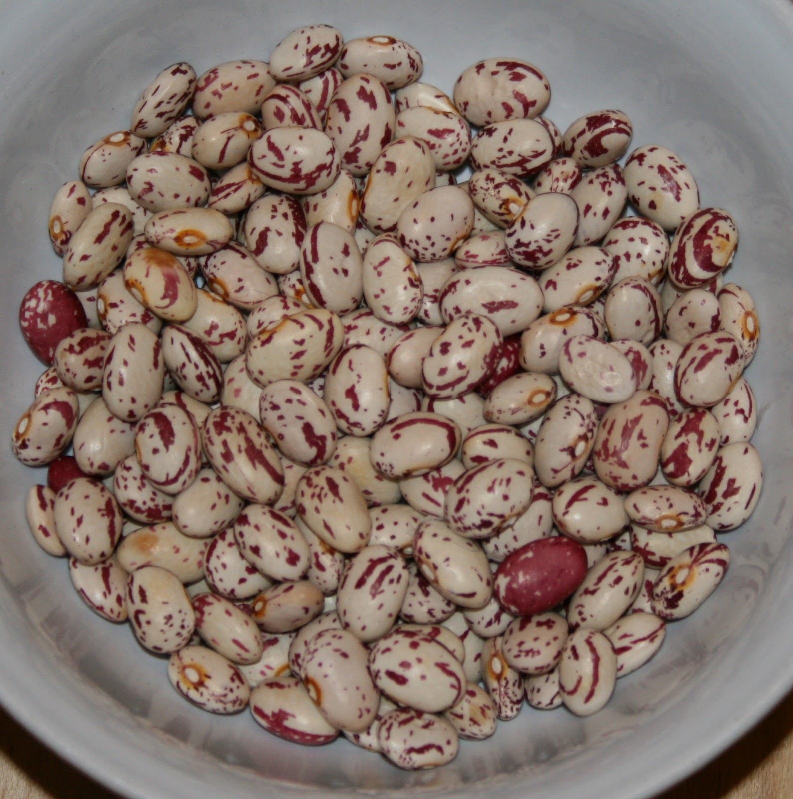 Allotment: From Plan to Plot to Platter: Growing and Using Beans for ...