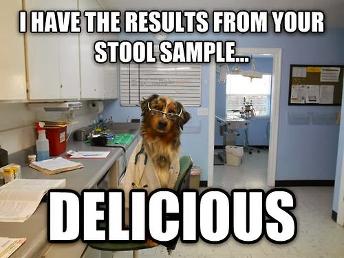 I Have Seen The Whole Of The Internet: Stool Sample Result
