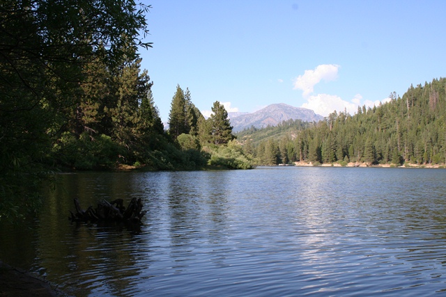 Acorn to Oak: Hume Lake