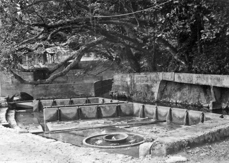 Ryukyu Life: Then and Now (Photos) Okawa Spring in Kin Okinawa