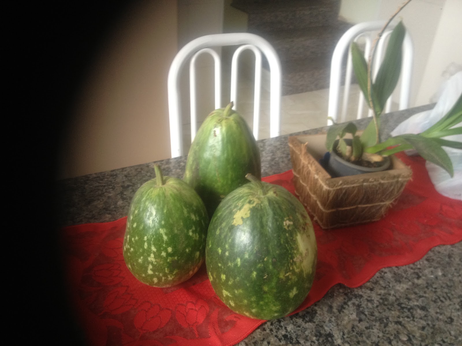 Plebeu, tributo à irreverência: Nilton Del Valle e o CAXI.