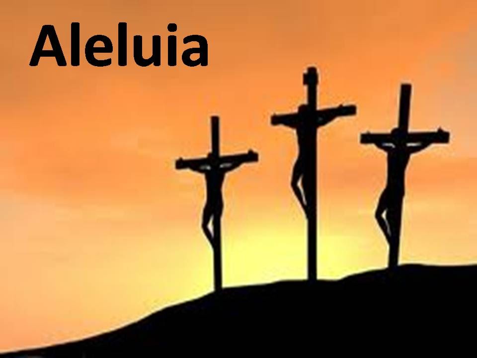 Evangeliza! Crianças e Adolescentes: Aleluia, hinos em slides