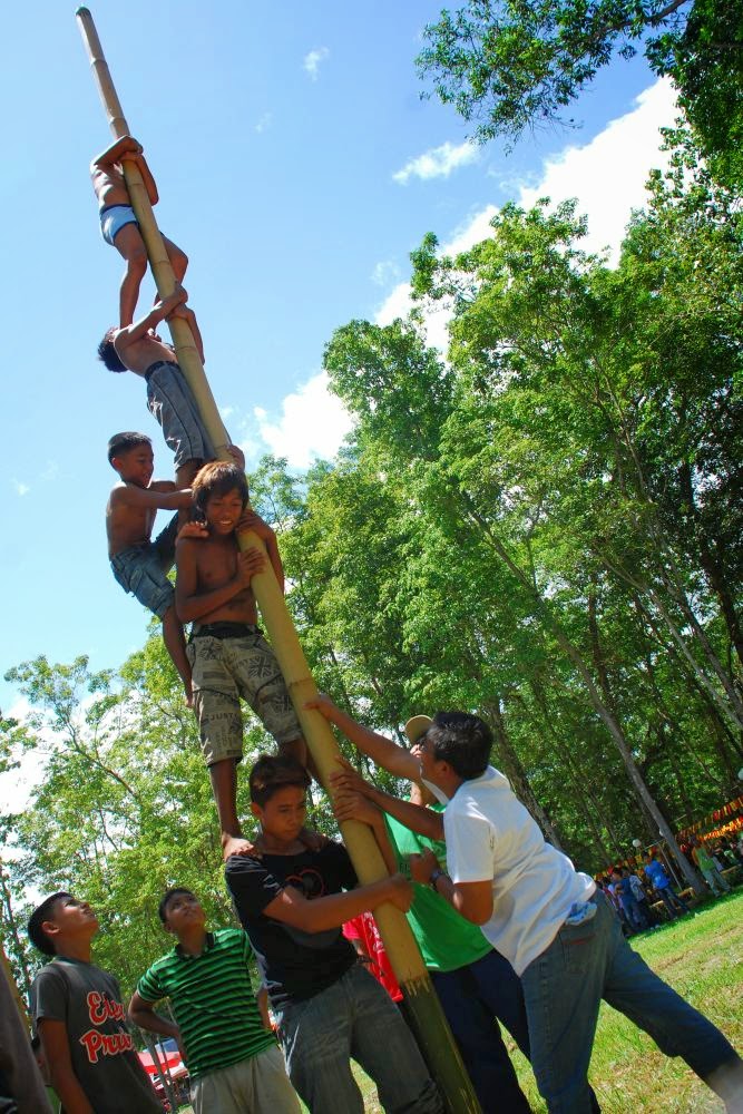 Sarangani Today: Greased bamboo-climbing race