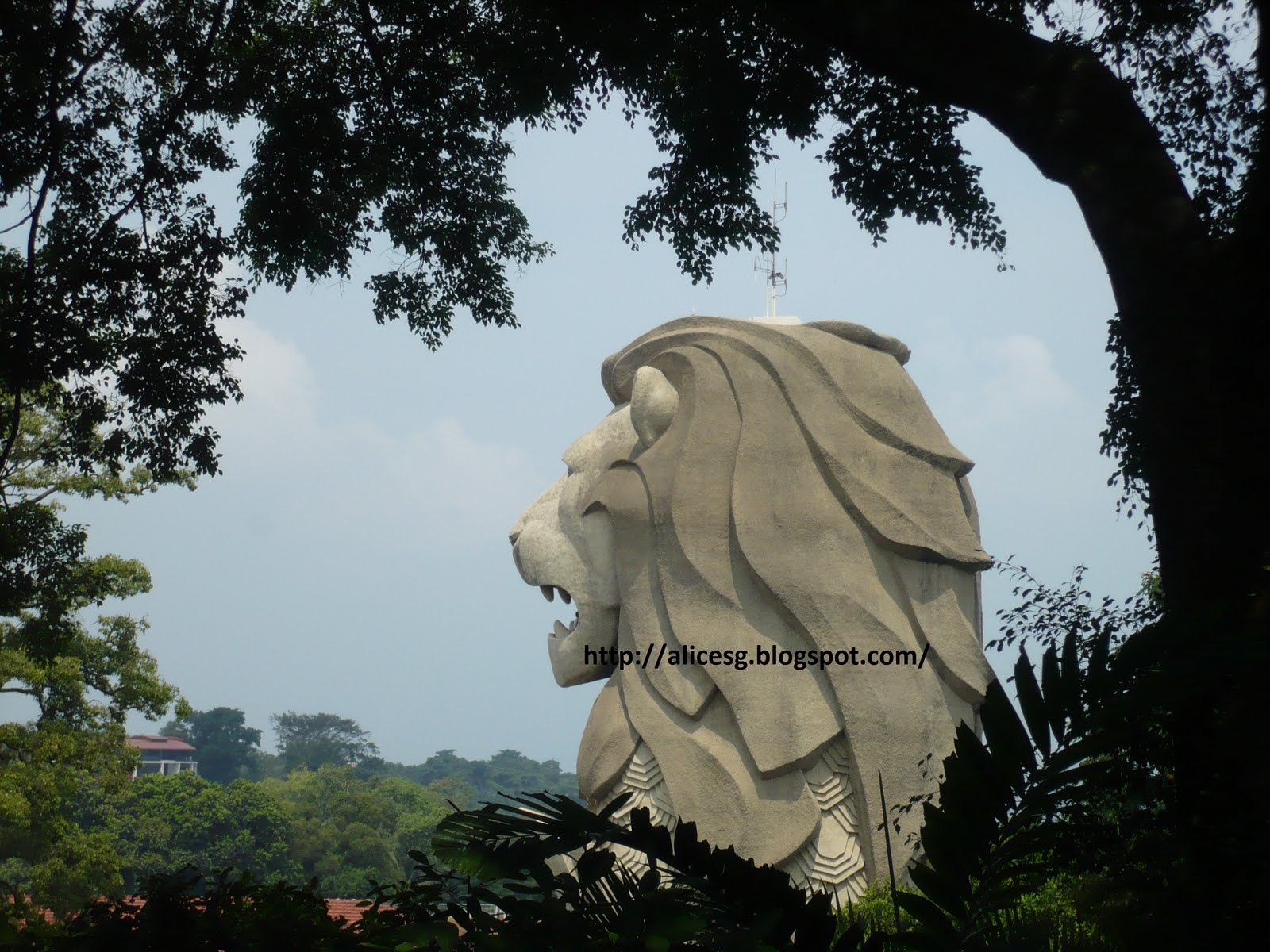 Alicesg-Singaporemyhome: Sentosa - Merlion