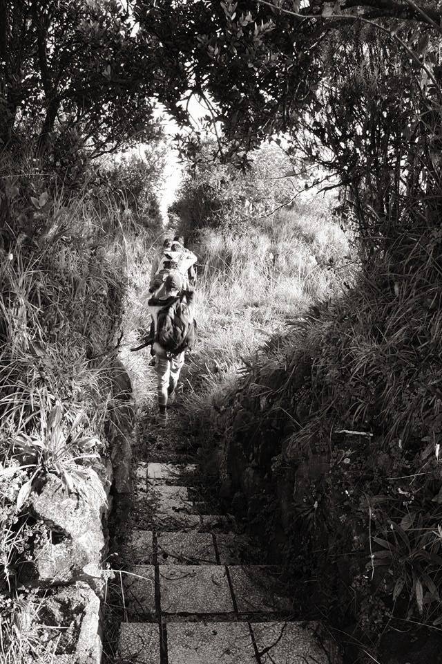 Piramid Terbesar Ada Di Gunung Lawu | Paseban Jati