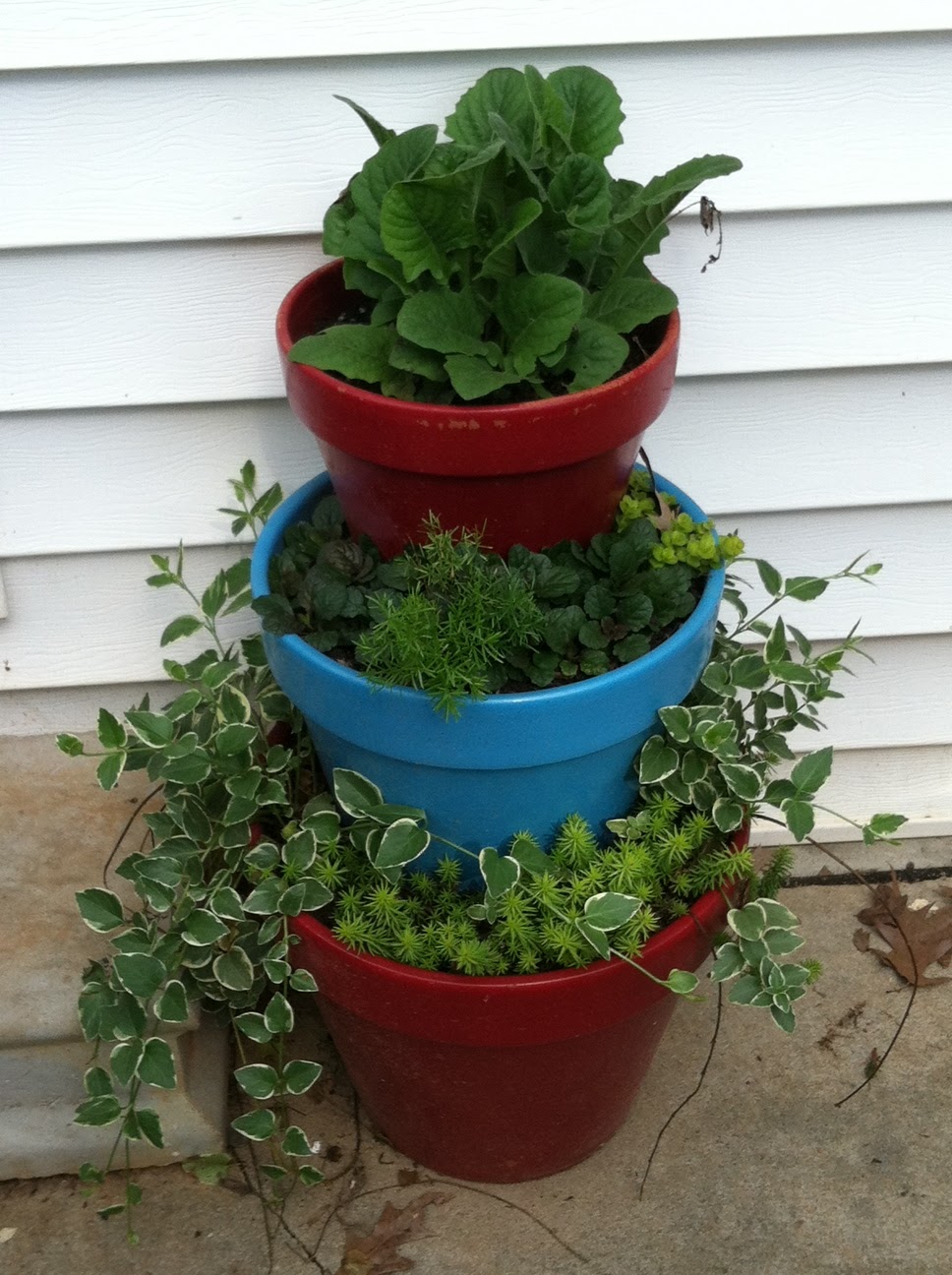 Creating Love And Joy: 3 Tier Pot