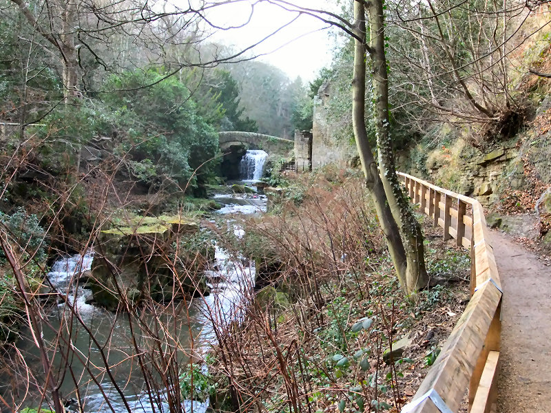 Photographs Of Newcastle: Jesmond Dene