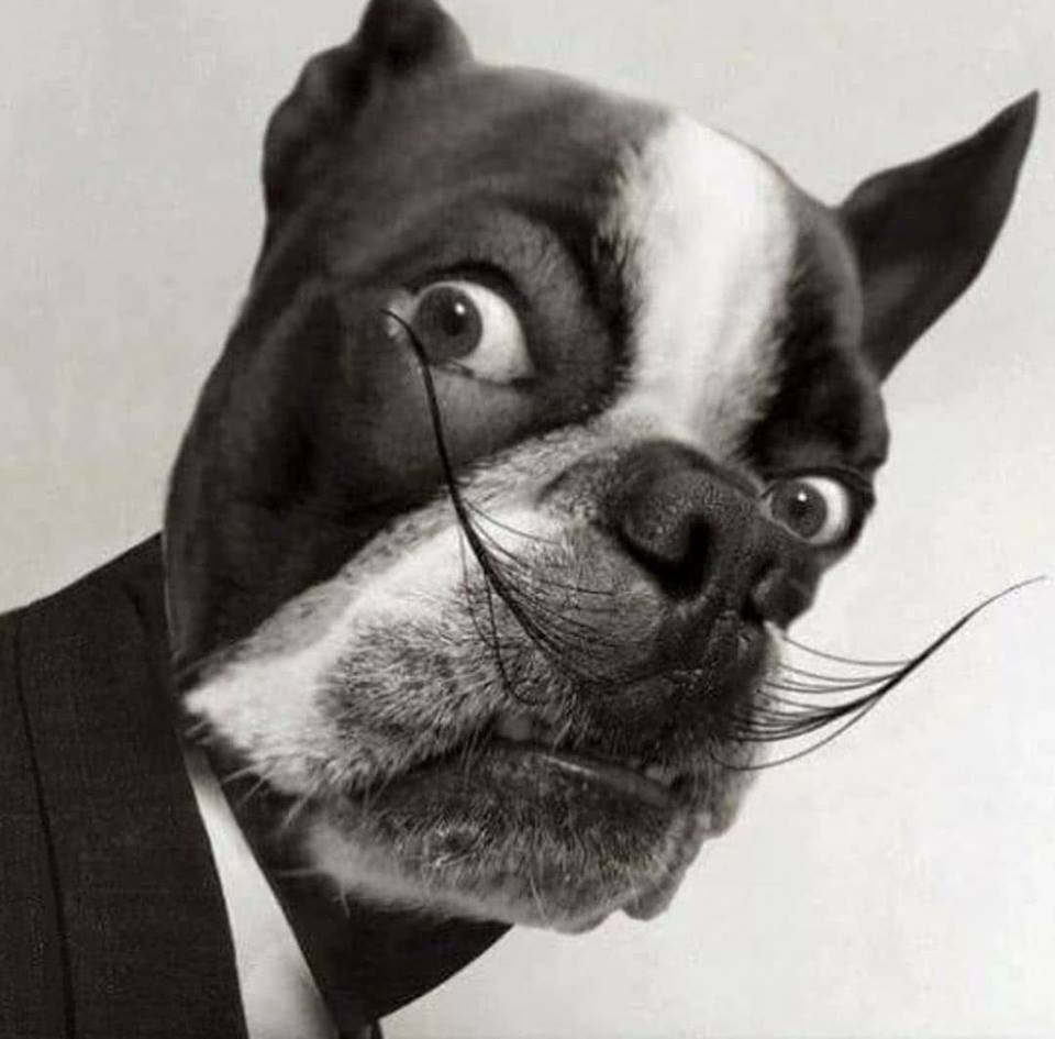 tu i teraz - moje pasje, mój świat: Piękno SZAROŚCI....