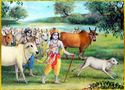 अनन्तगोपाल रिसालका रचनाहरु: Gopastami - An auspicious day for cow ...