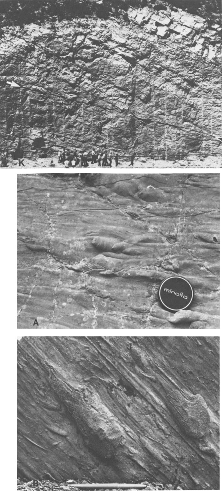 Learning Geology: Describing surface stratigraphic sections