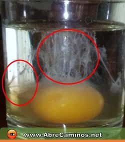 Limpia con Huevo - Interpretación, Significado y Fotos - AbreCaminos.net