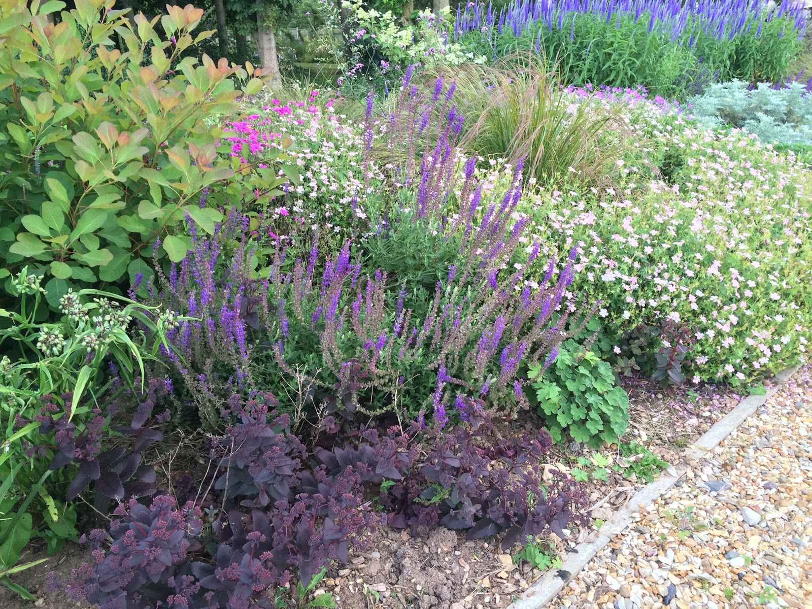 sustainable garden: flower power