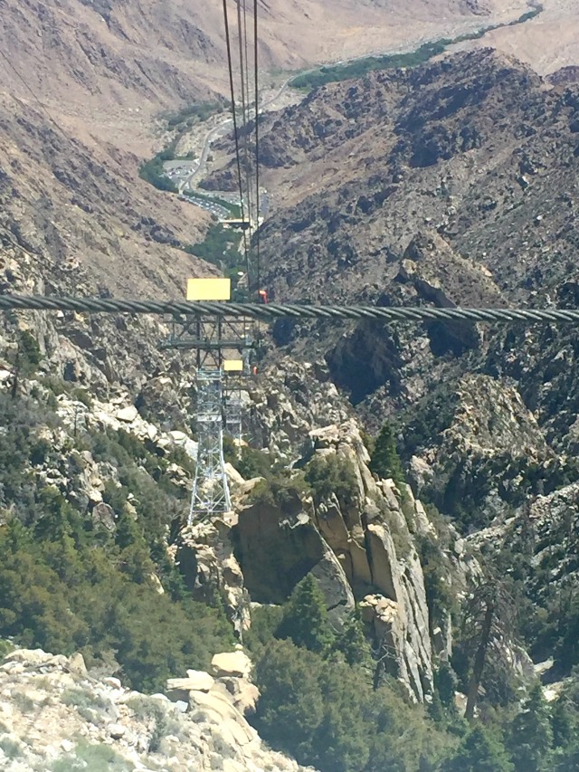 Palm Springs Aerial Tramway: 360 Degrees of Wow | MAPLE LEOPARD