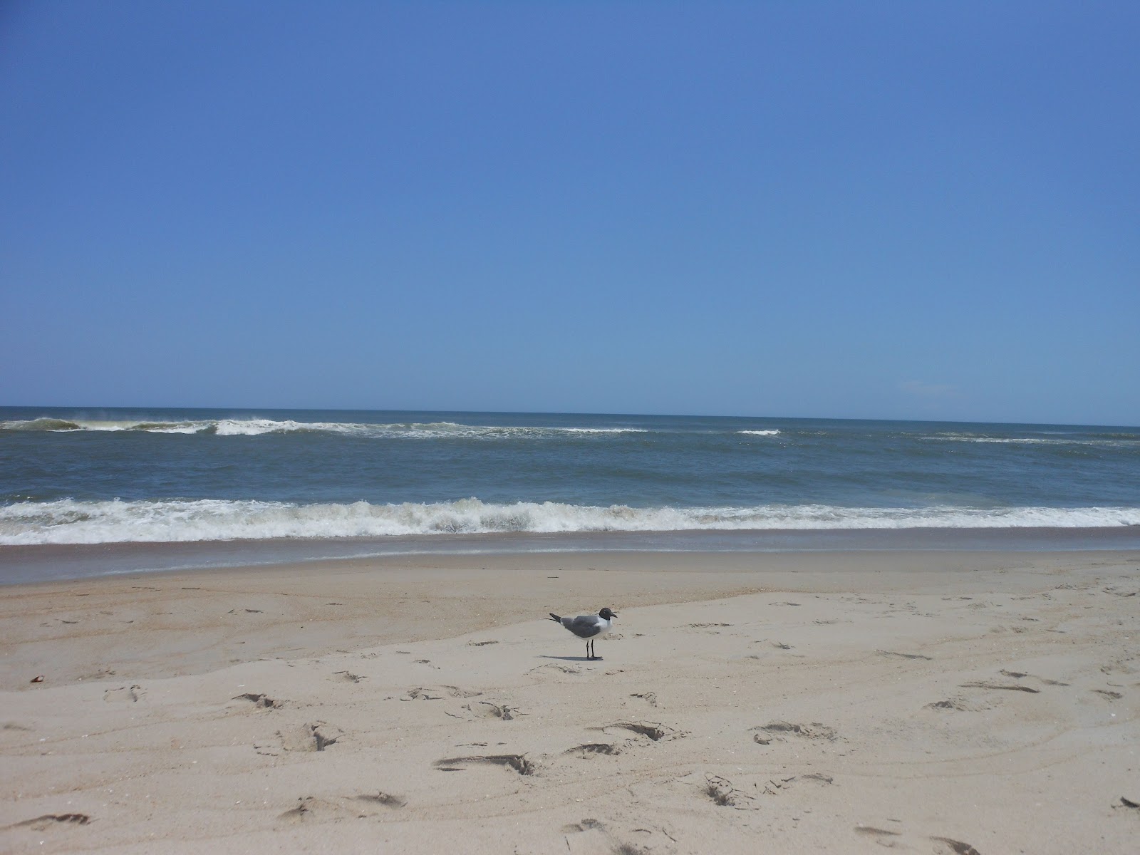 Amateur Planet: A Visit to the Outer Banks