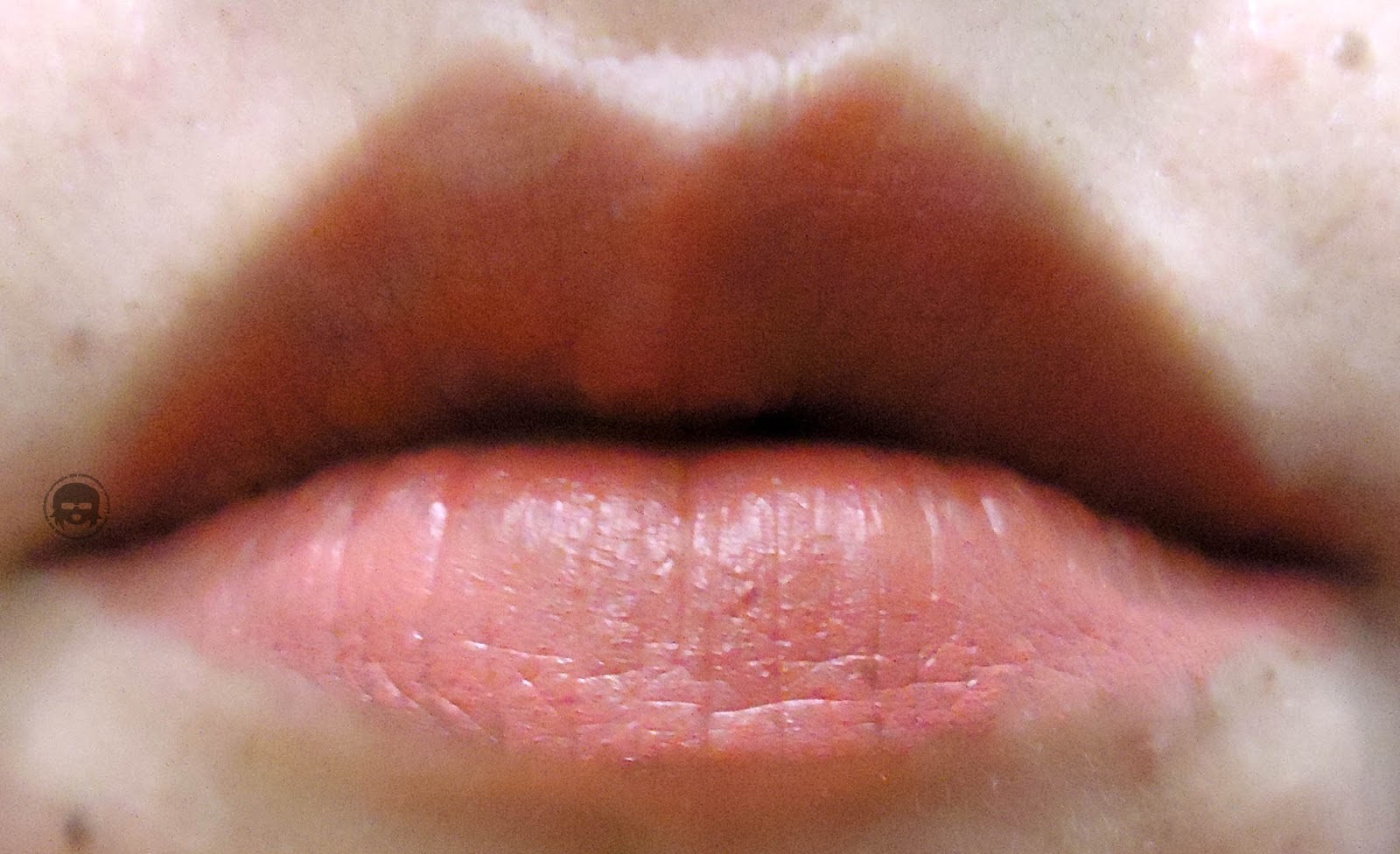 REVIEW: [SKINFOOD] Avocado Stick Lip Balm (Rich Version) - Novata en ...