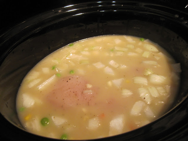 Sophie in the Kitchen: Slow Cooker Chicken Stoup