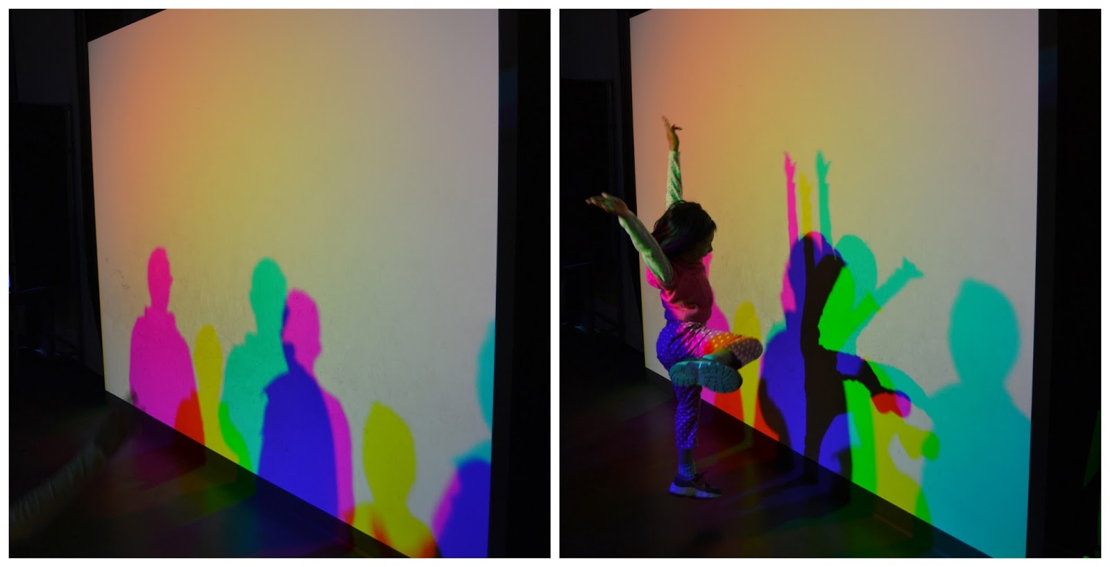 From Foothills to Fog: San Francisco Exploratorium