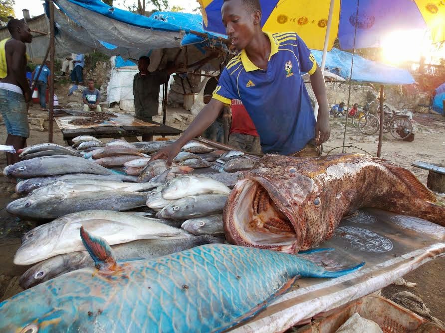 TANGA KUMEKUCHA: KARIBUNI SAMAKI CHEWA
