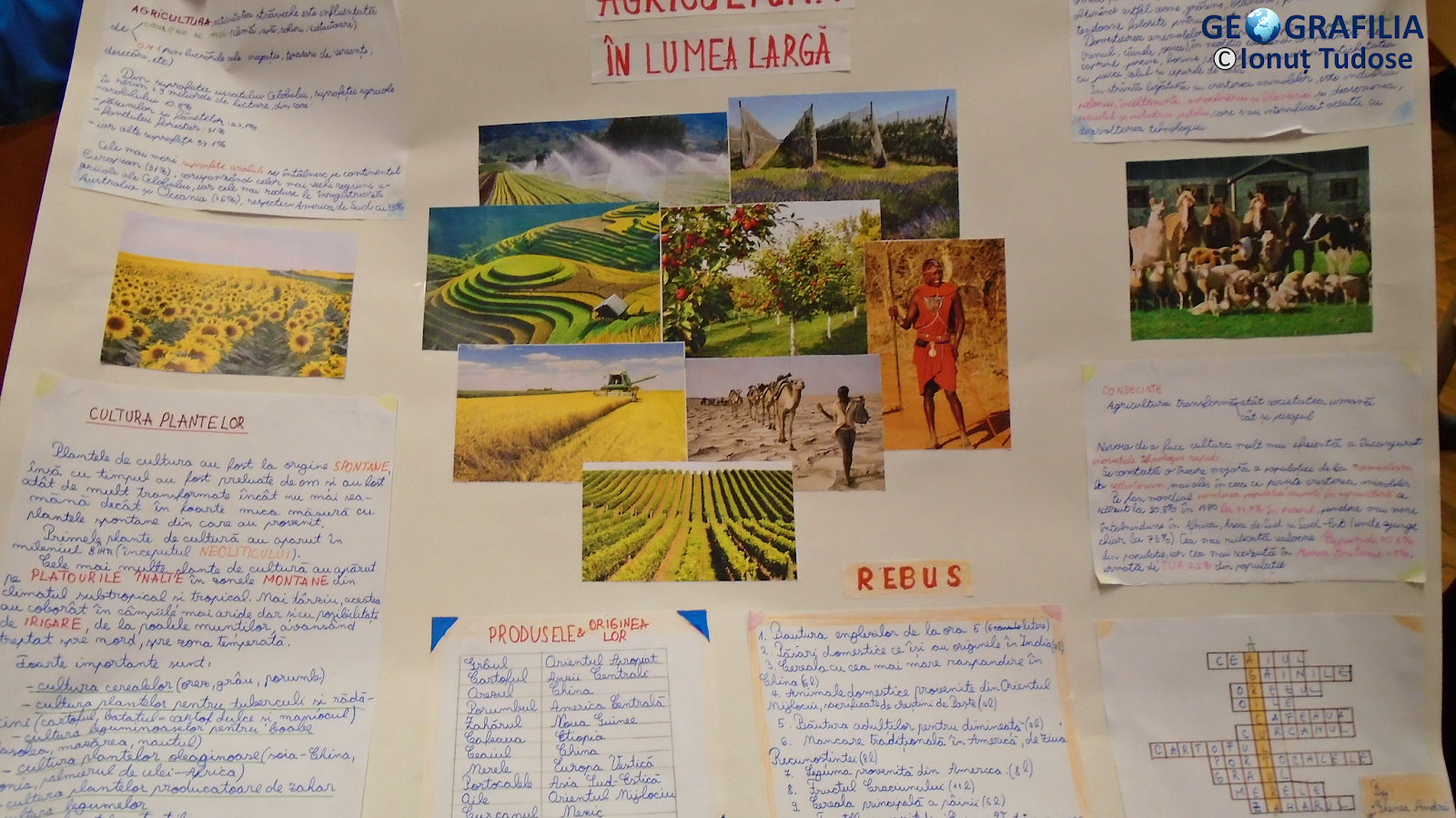 GEOGRAFILIA: Din proiectele (posterele) elevilor. Partea a II-a