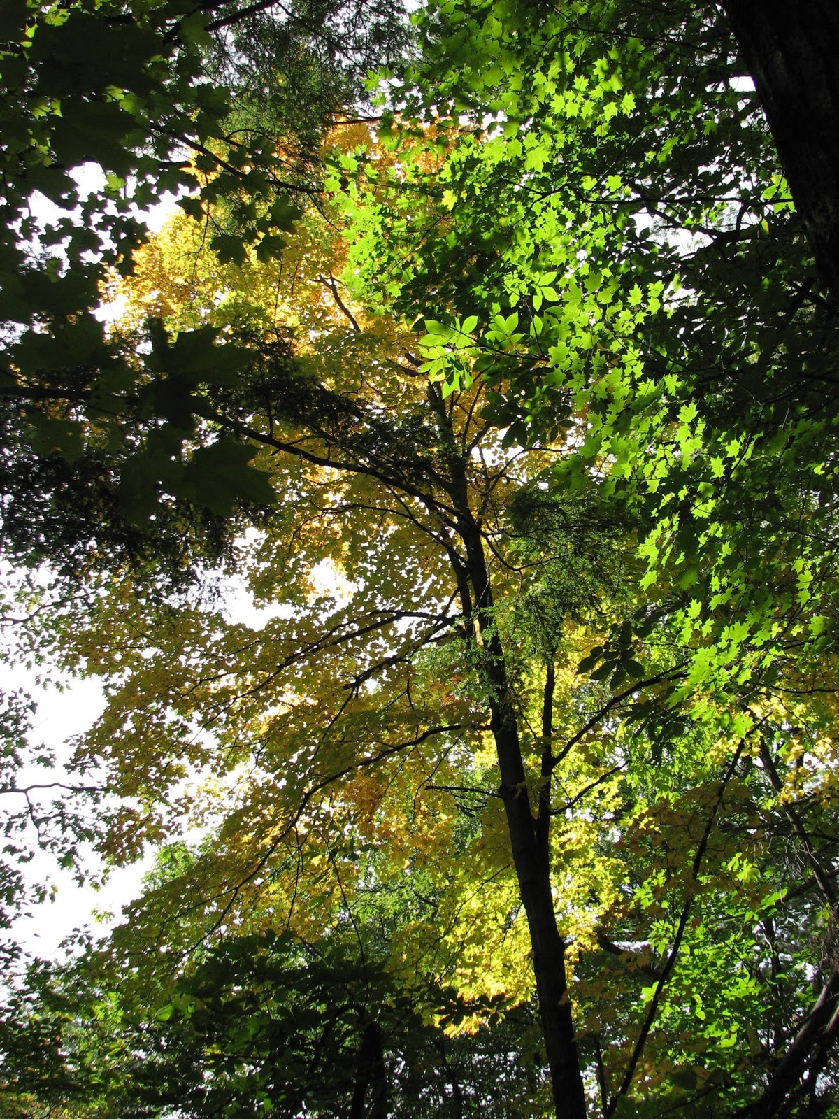 Red Rocks Park -South Burlington, Vermont | Litter with a Story To Tell